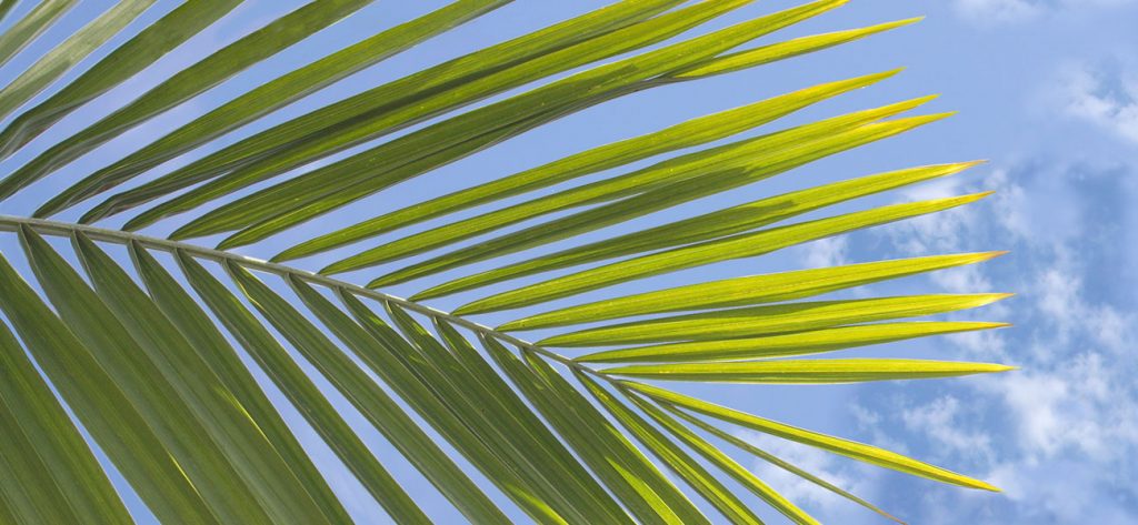 Total Retirement Security